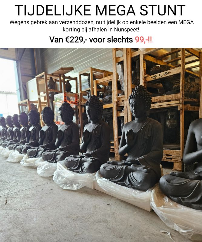 Grote zittende Boeddha Abhayamudra donker grijs 75cm