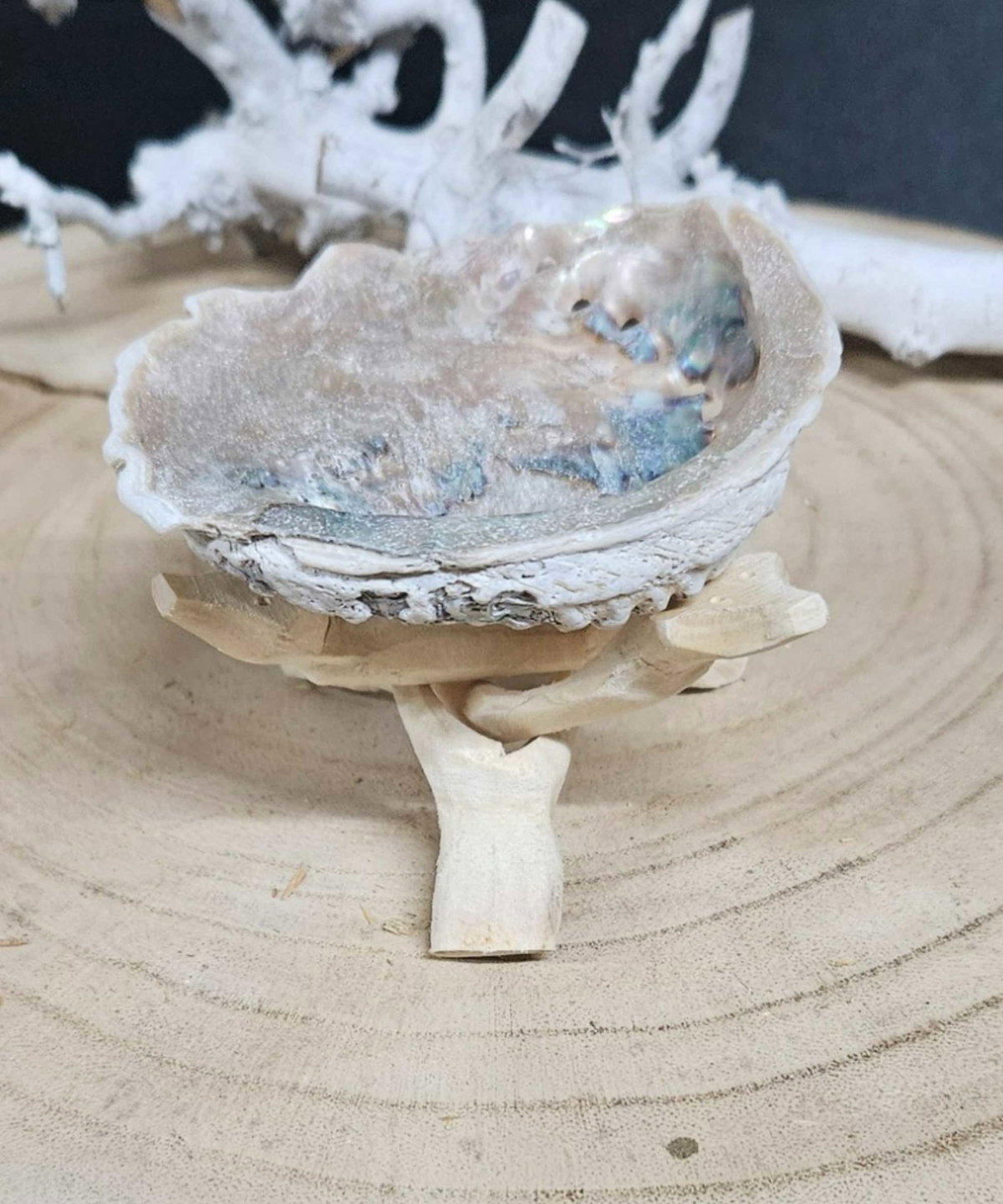 Houten 3 poot tbv Abalone schelp 10,5cm - Boeddha-beelden.com