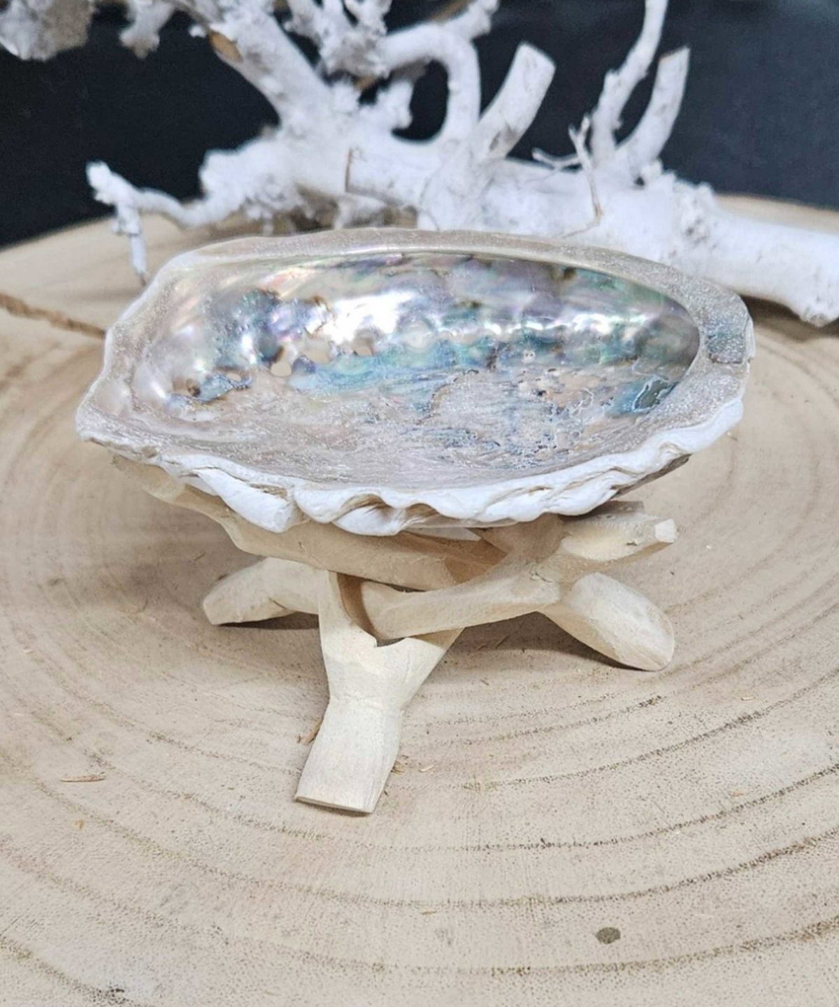 Houten 3 poot tbv Abalone schelp 10,5cm - Boeddha-beelden.com