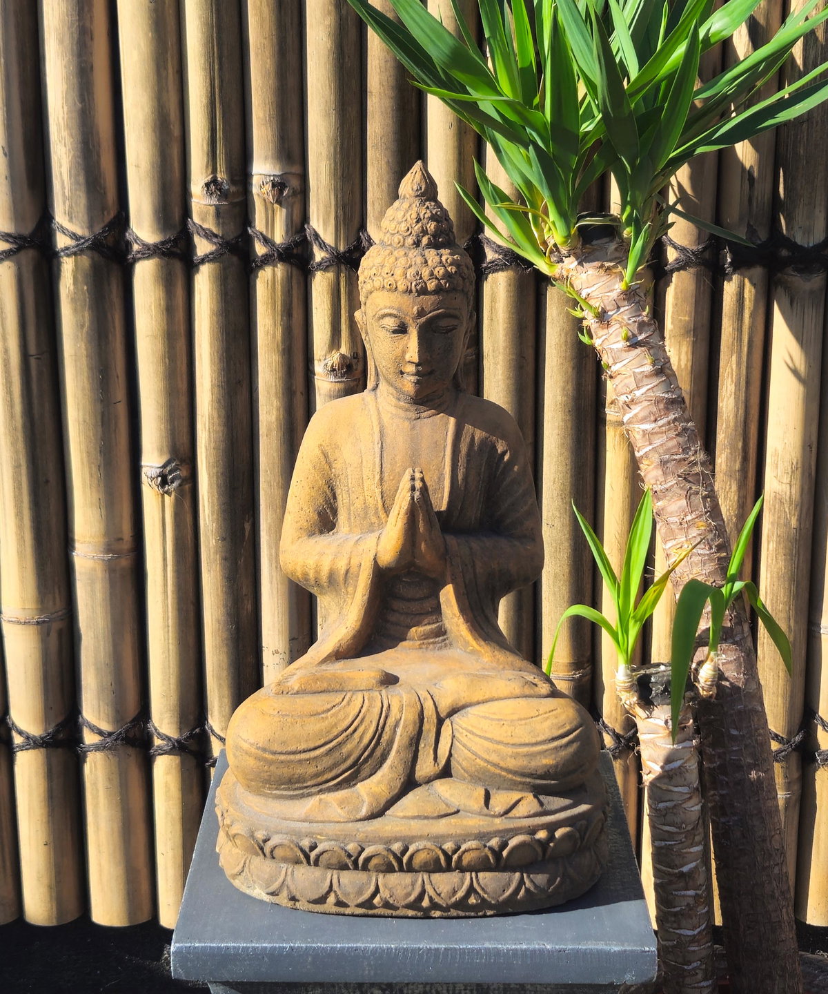 Tajski Budda w pozycji modlitewnej – 50 cm Hardy
